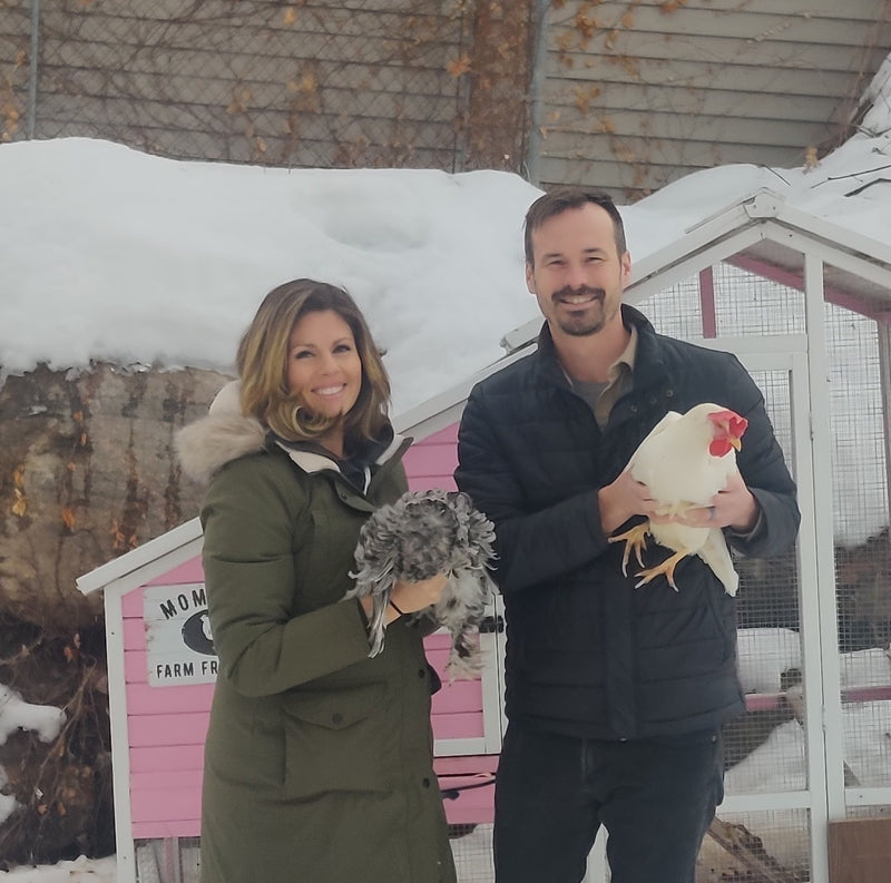 Contact Us - Quality Chicken Coops